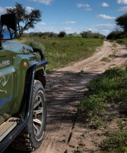 Sandune – Game Lodge & Duneside Stud